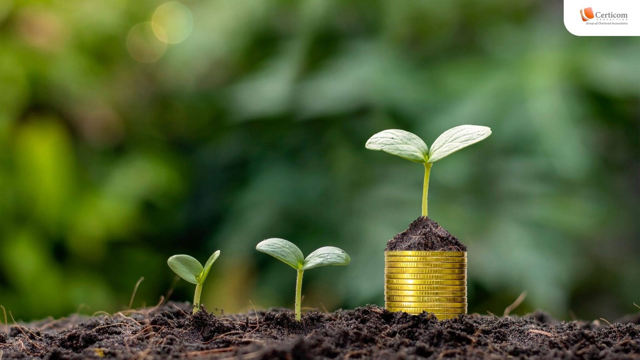 Understanding Short-Term Capital Gains Tax | 2025 Guide